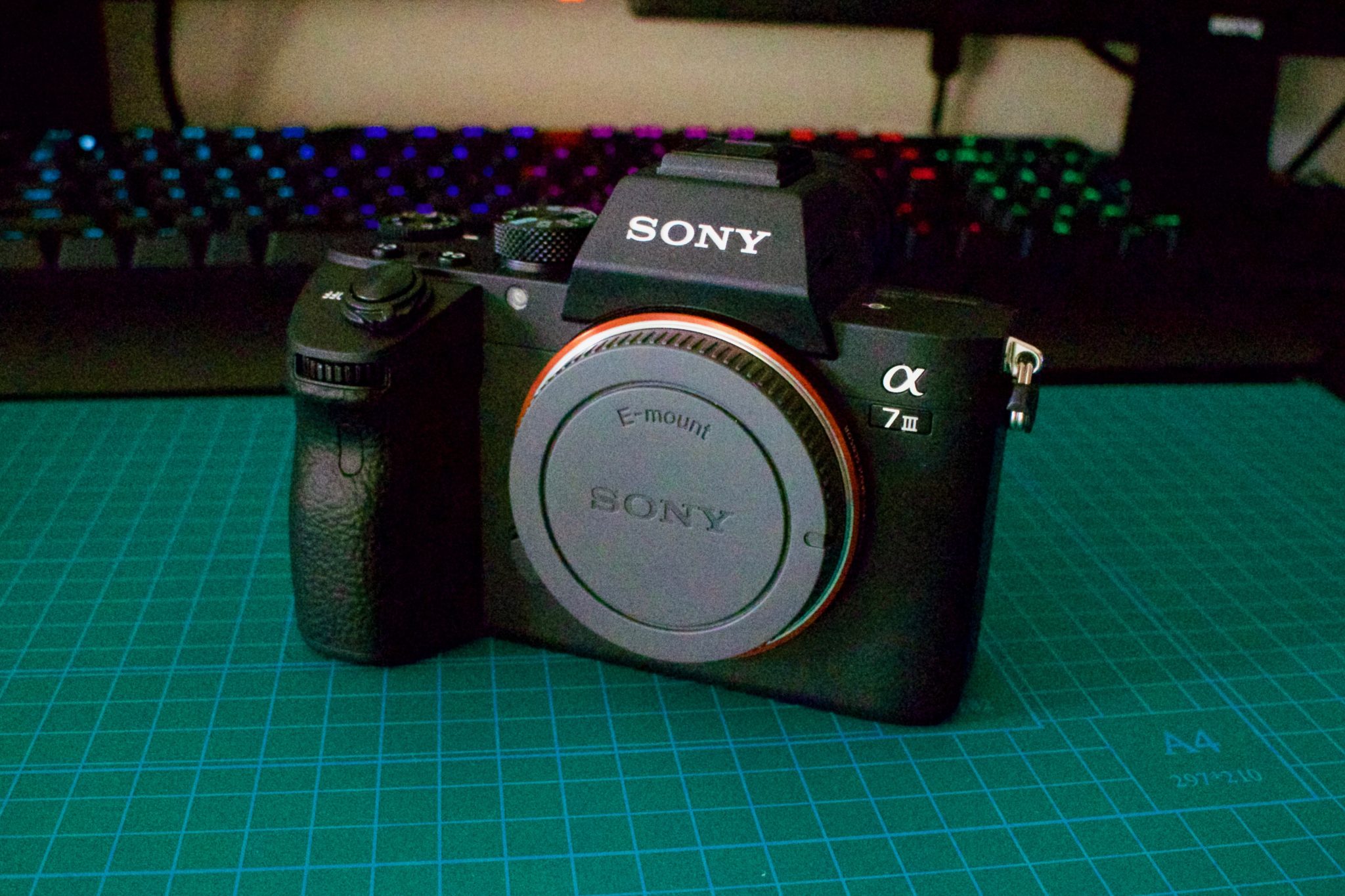 今更だけどSony α7III選んだ理由と使ってみた感想 | もじょブロ